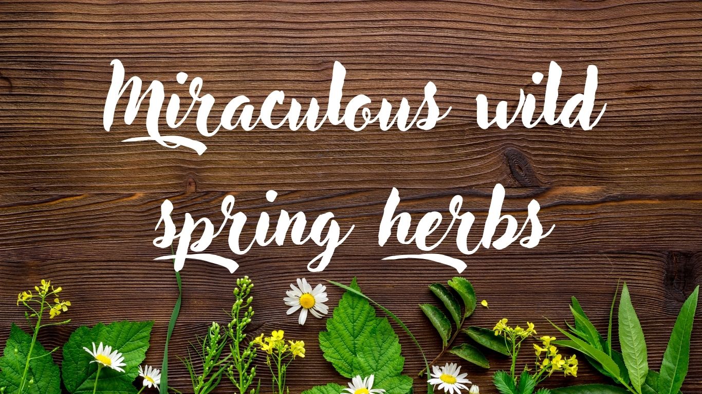 Spring herbs: the powerful power of nature - HealthAndNaturelife