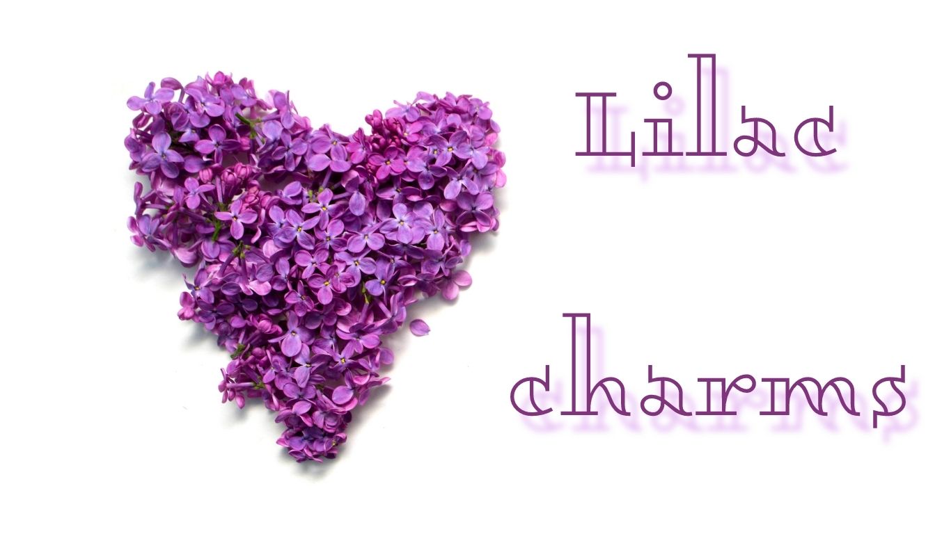Lilac syrup is not only fragrant but also medicinal. What are benefits?