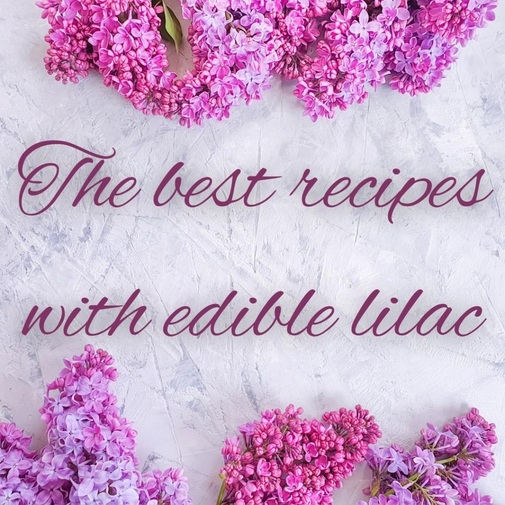 Lilac syrup is not only fragrant but also medicinal. What are benefits?
