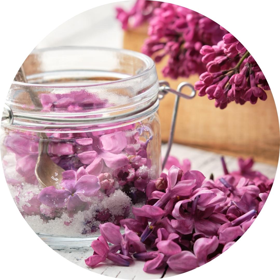 Lilac recipes – learn simple, tasty, fragrant and beautiful looking ...