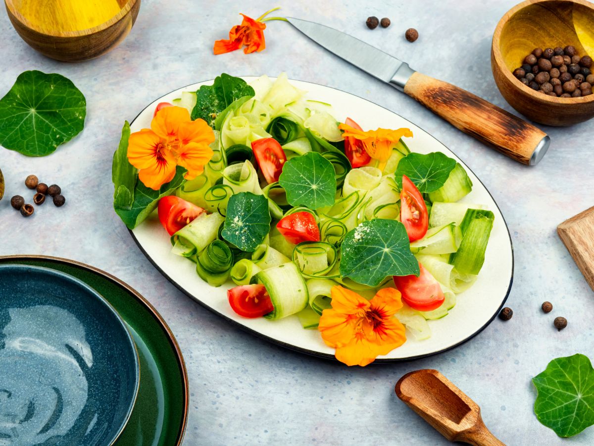 Nasturtium - Benefits, Uses, and Growing Tips