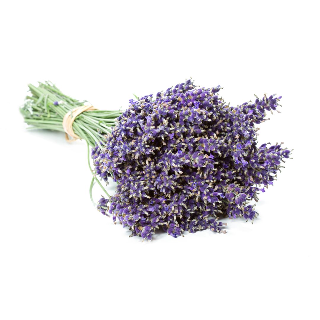 Lavender: Growing Tips, Health Benefits, and Creative Uses