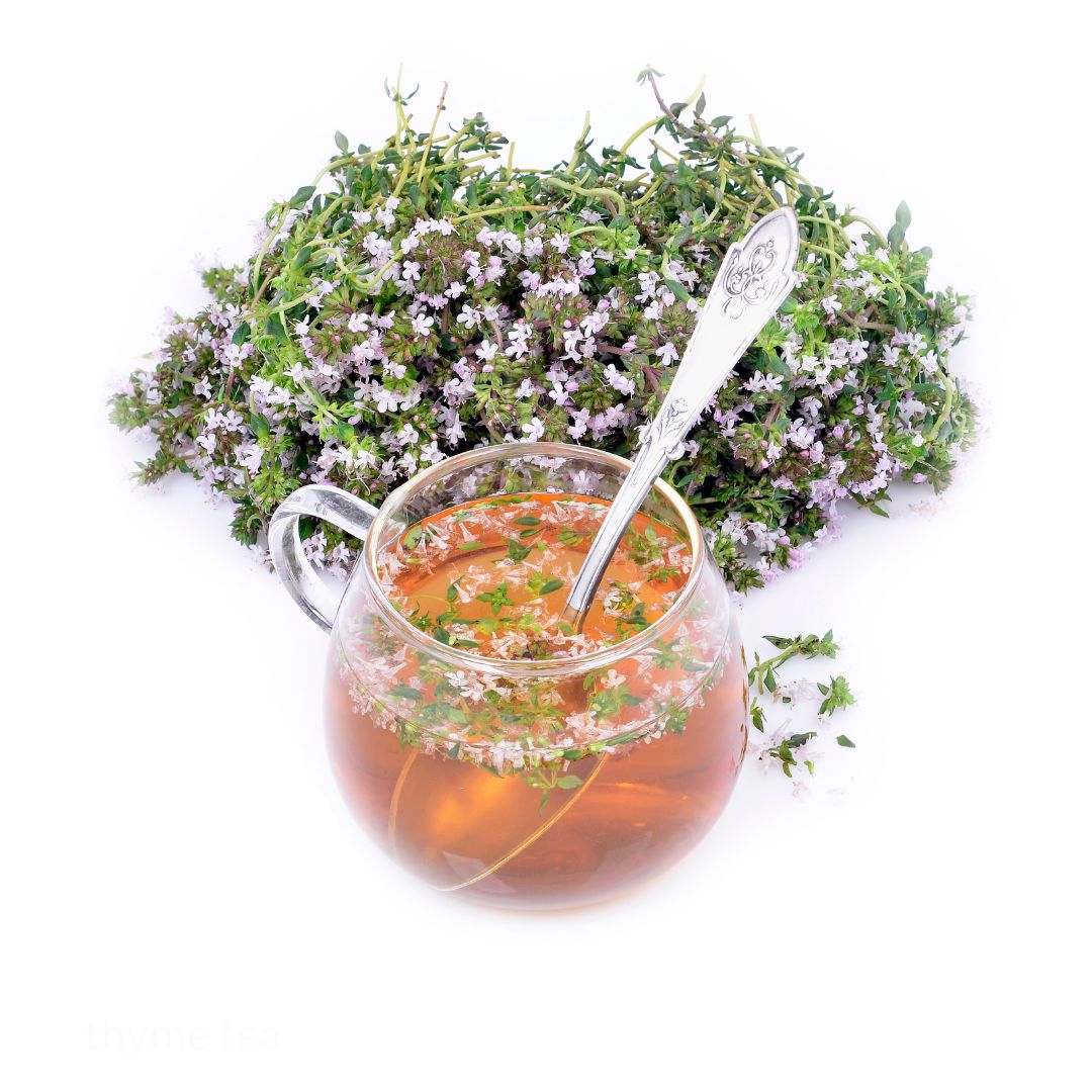 Grow Thyme: Tips, Benefits, and Fun Uses in Your Kitchen