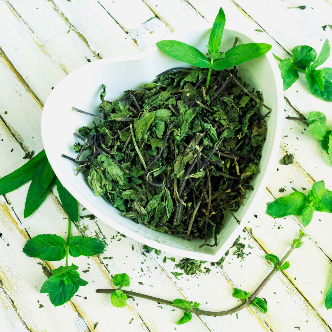 How to Grow Mint: Tips, Benefits, and Culinary Uses