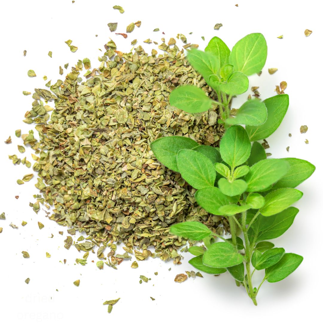 Master the Art of Growing Oregano: Tips, Benefits, and Uses