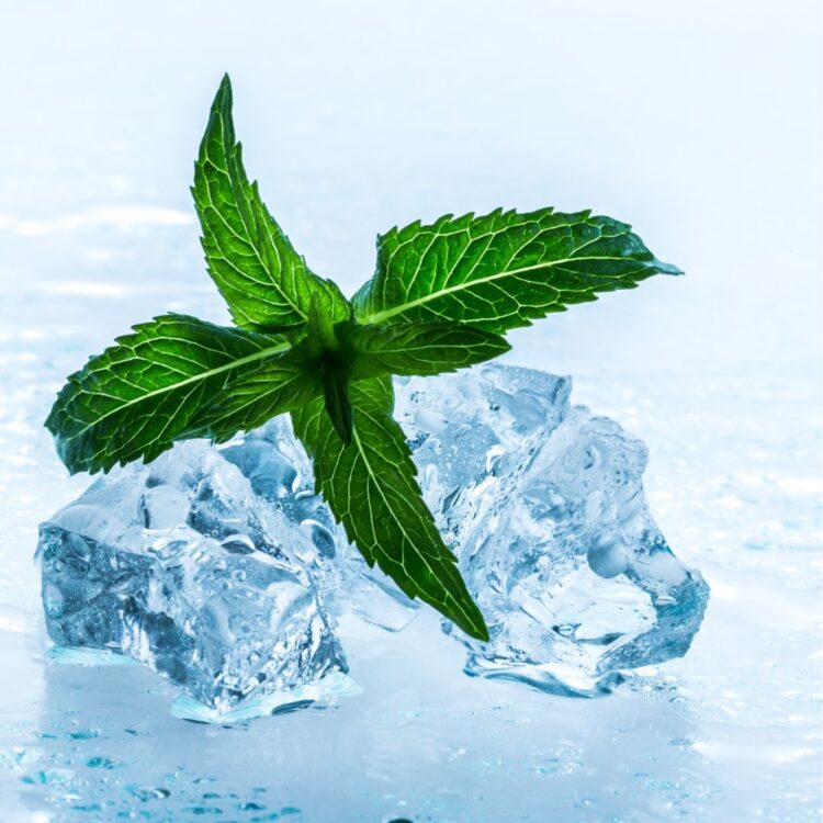 How to Grow Mint: Tips, Benefits, and Culinary Uses